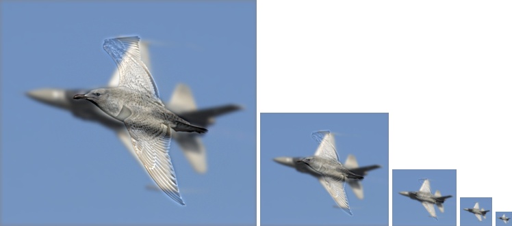 Computer Vision Project