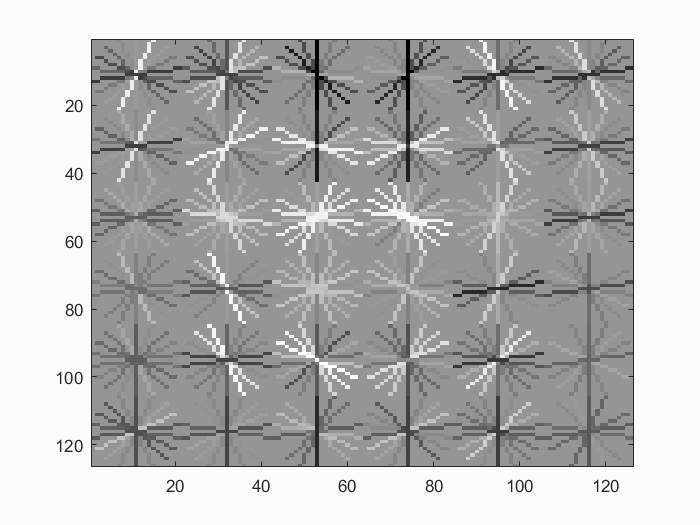 Face Detection Project