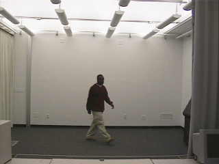 Computational Perception Laboratory: Human Identification at a Distance