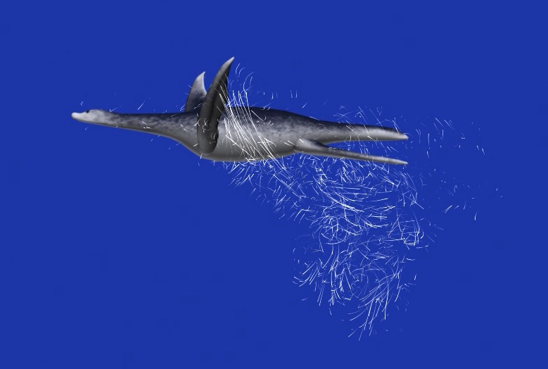 Plesiosaur Swimming