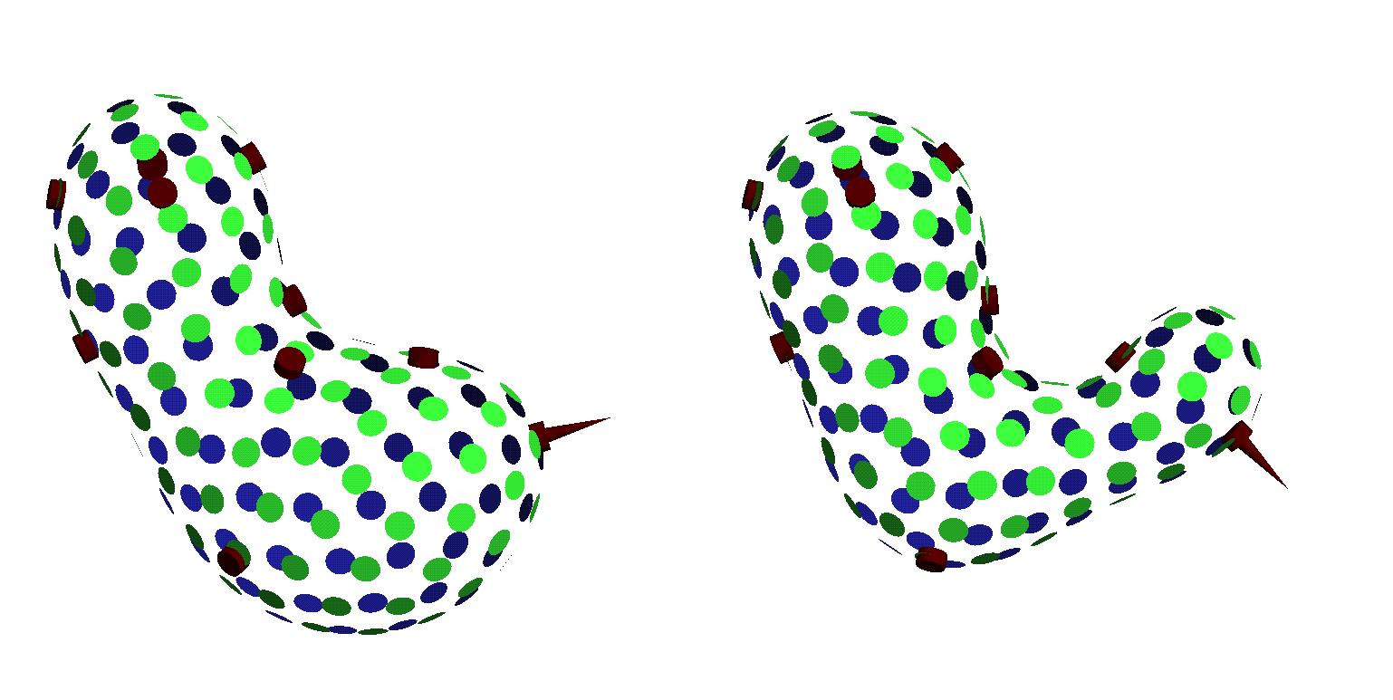 Modelling with Implicit Surfaces that Interpolate